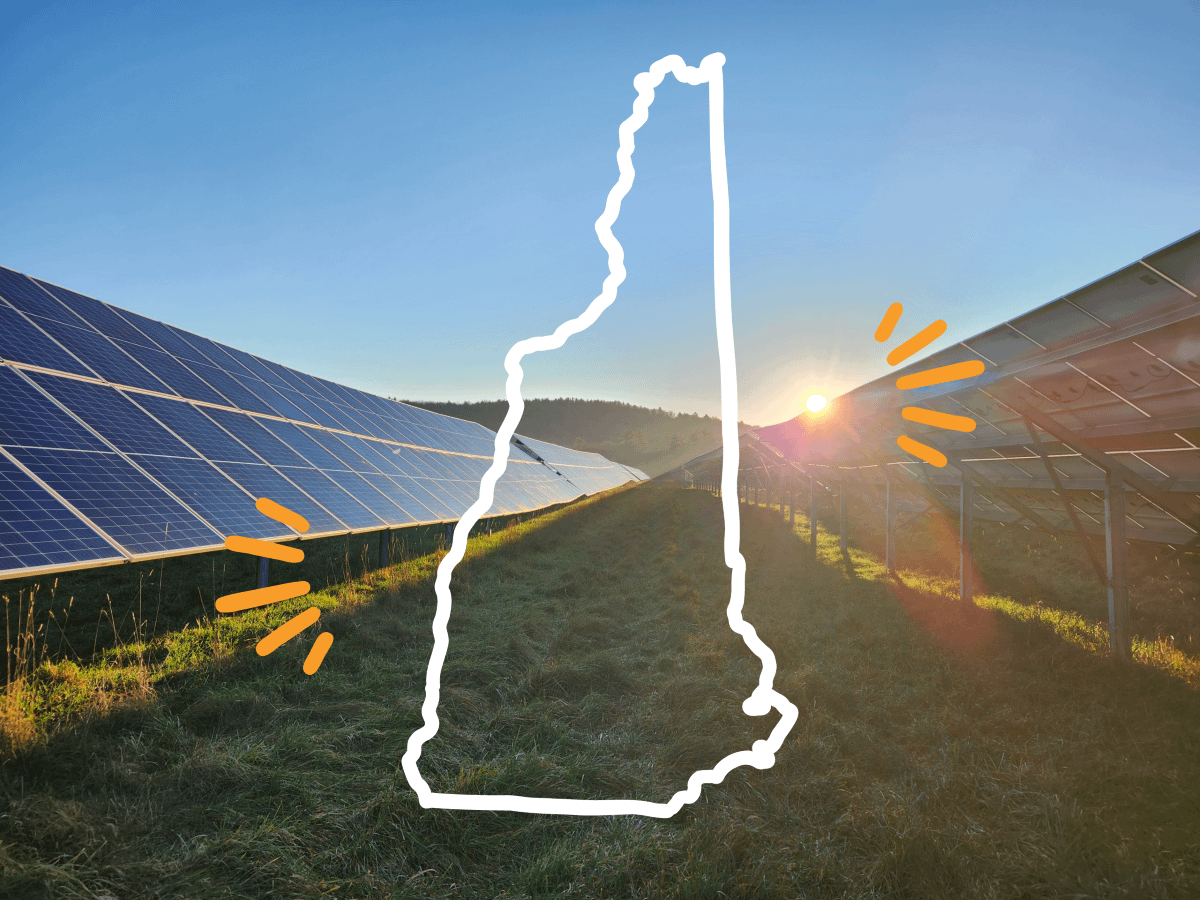 Net Metering 101: What Happens With Excess Solar Generation?